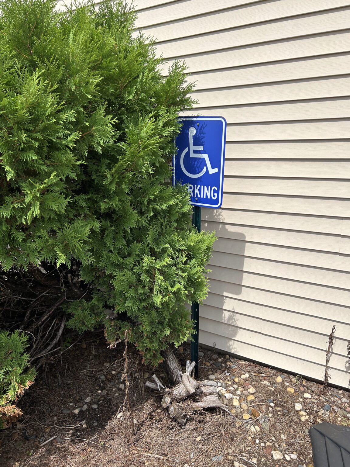 Disability Rights Iowa | Legal Protection and Advocacy